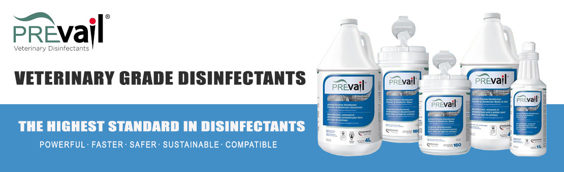 Petsfella - Premium Parrot Bird Cages, Toys, Supplies in Canada